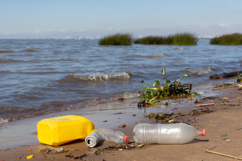 Cleaning Up Our Oceans: The Fight Against Water Pollution - Behzad ...